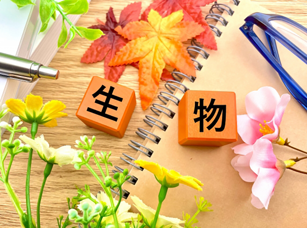 【医学部受験用 教科・科目別対策⑨】生物の勉強法（入試基礎固め・典型問題演習） | schola | 個別指導塾・学習塾・進学塾ならTOMAS